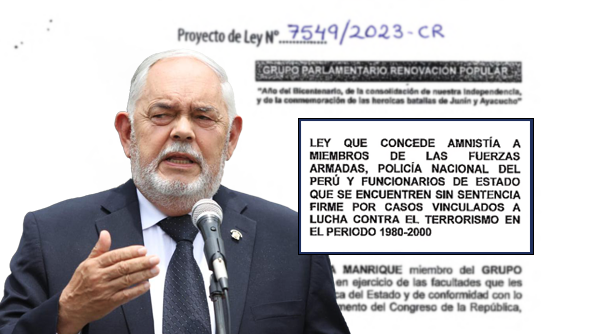 ¿amnistía O Impunidad Análisis De La Incompatibilidad Del Proyecto De
