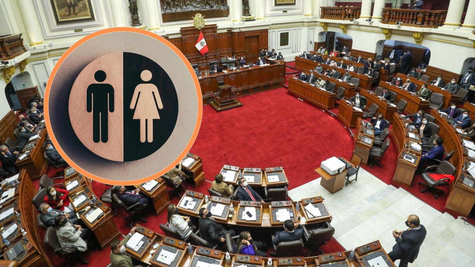 Discriminación legalizada: sobre la prohibición del Congreso a personas trans para acceder a ...
